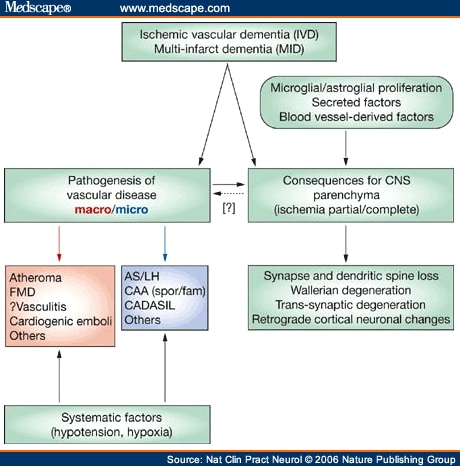 Vascular Cognitive Impairment - Page 4