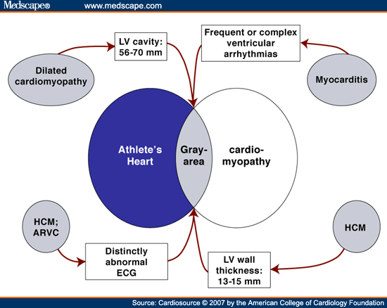 Cardiac Problems in Athletes