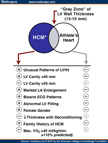 Cardiac Problems in Athletes