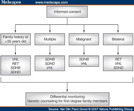 Pheochromocytoma: Recommendations for Clinical Practice - Page 4