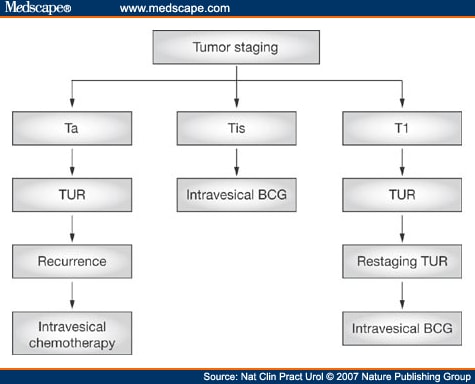 The Management of Superficial Bladder Cancer - Page 6