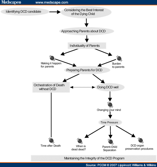 Staff Perspectives on Organ Donation After Cardiac Death in Children ...