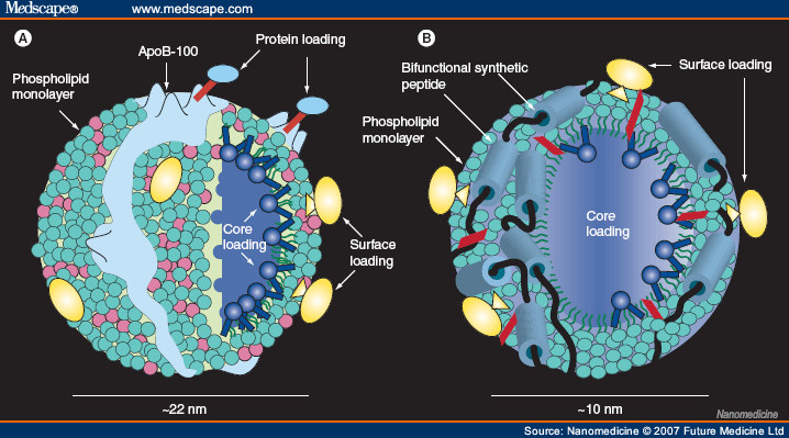 Low-density Lipoprotein-like Nanoparticles for Cancer-drug Delivery