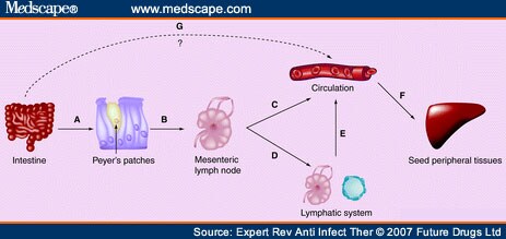 Systemic Rotavirus Infection - Page 4
