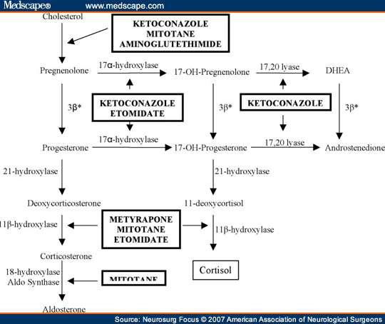 Medical Management of Cushing Disease