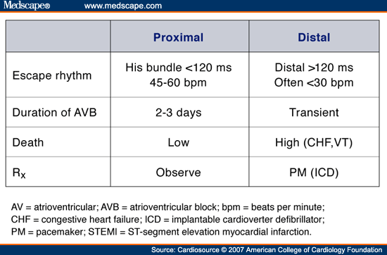ST-Elevation Myocardial Infarction: The First 24 Hours