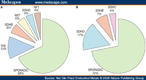 Extra-Adrenal and Adrenal Pheochromocytomas Associated With SDHC ...