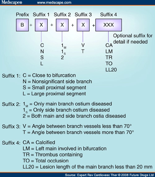 Coronary Artery Bifurcation Lesion Classifications, Techniques ...