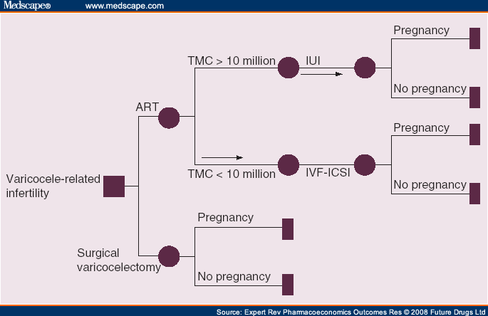 The Cost-Effectiveness of Treatments for Male Infertility