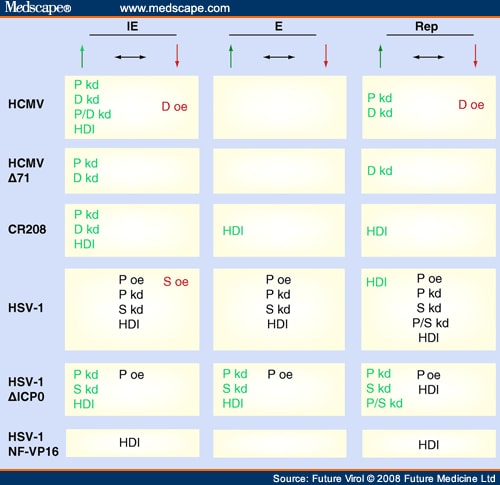 Promyelocytic leukemia-nuclear body proteins: herpesvirus - Page 3