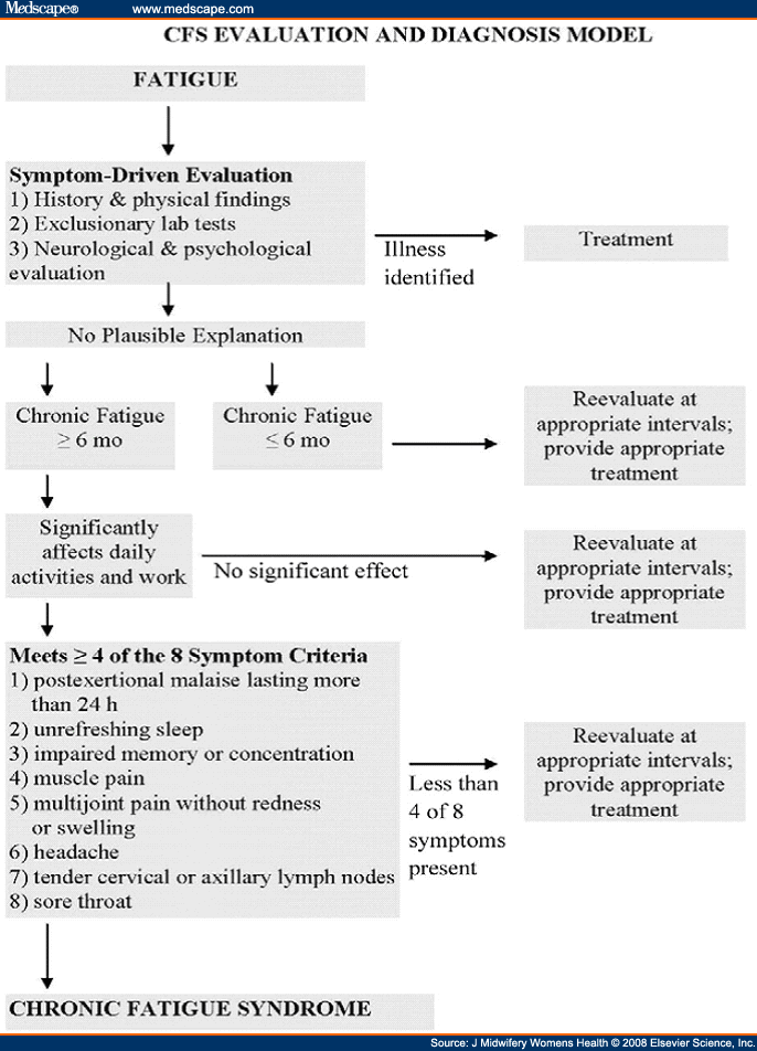 Chronic Fatigue: Implications for Women and Their Health Care Providers ...