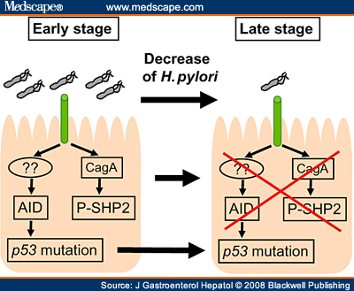 Mechanism for Gastric Cancer Development by Helicobacter pylori ...