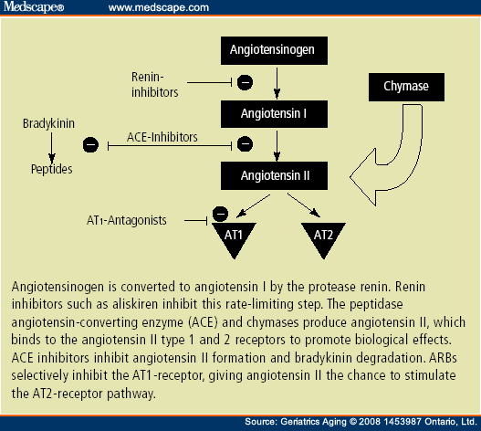 Is Dual Blockade Most Effective for CHF? When to Use ARB and ACE ...
