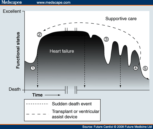 Challenges in Advanced Chronic Heart Failure: Drug Therapy - Page 5