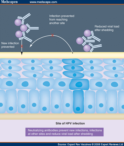 AS04-adjuvanted Human Papillomavirus-16/18 Vaccination - Page 2