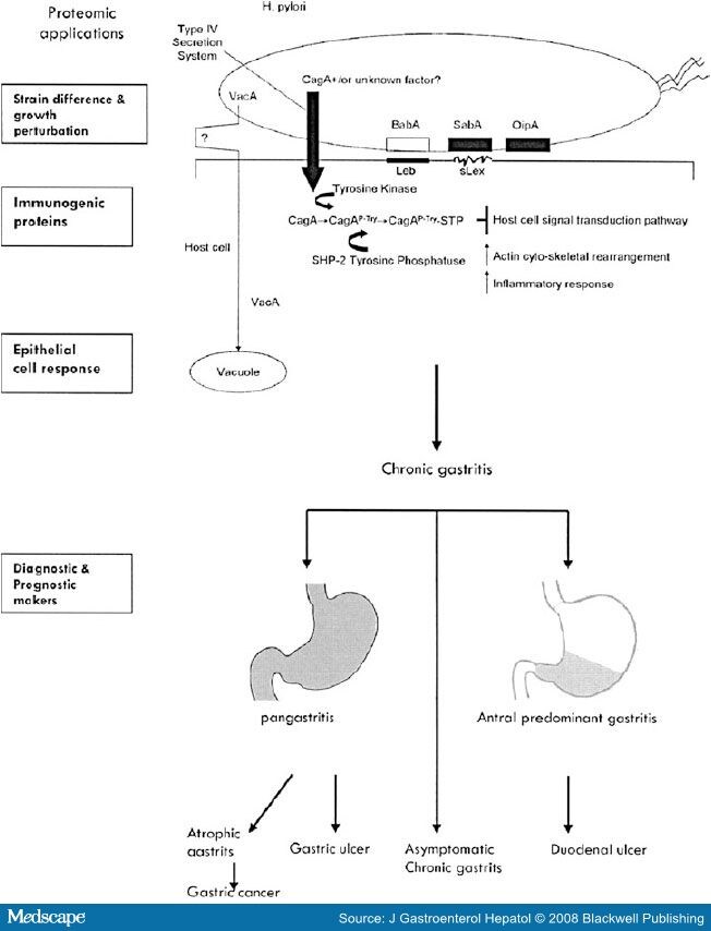 Biomarkers Related to Helicobacter pylori-associated Gastroduodenal Disease - Page 7