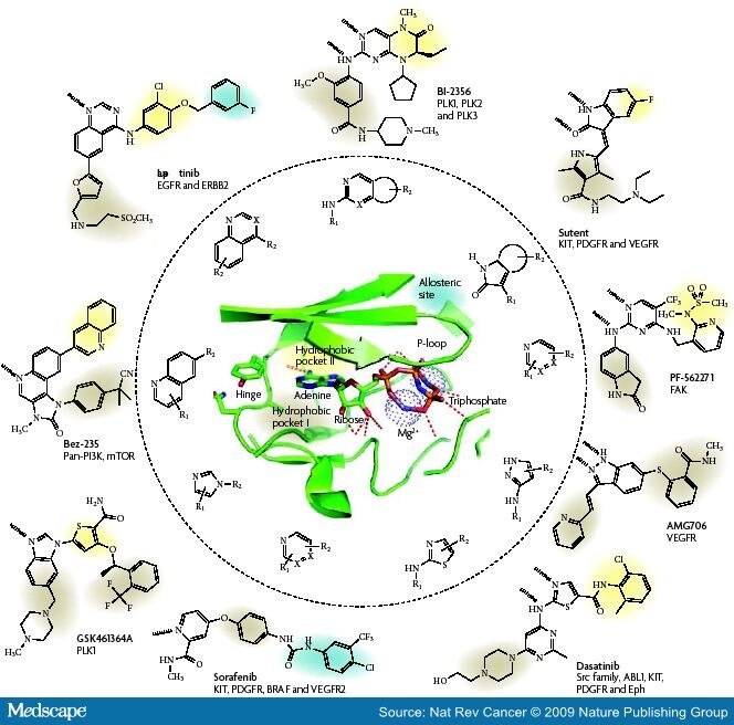 Targeting Cancer With Small Molecule Kinase Inhibitors