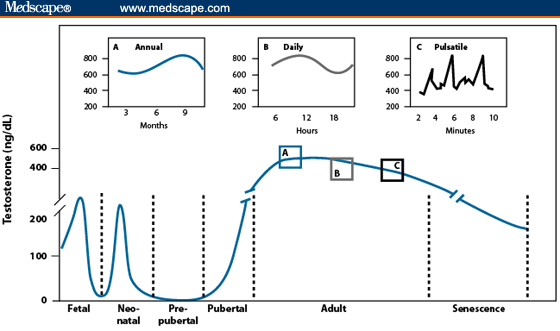 MedsiteCME: Testosterone Replacement Therapy for Management of Age ...