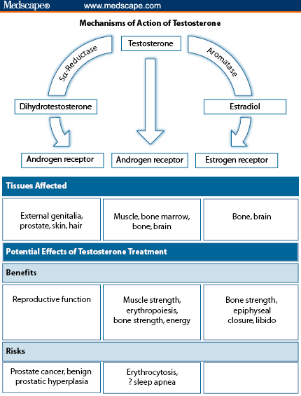 MedsiteCME: Testosterone Replacement Therapy for Management of Age ...