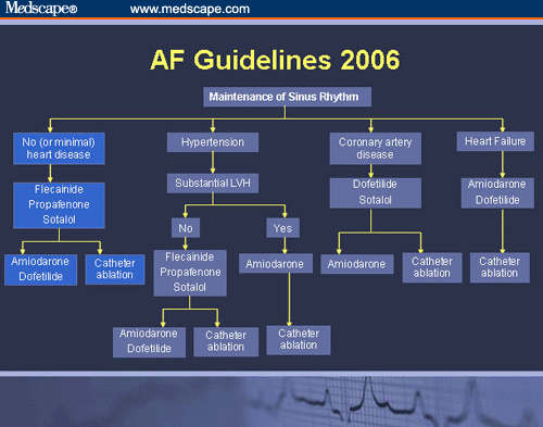 New Guidelines in Atrial Fibrillation -- Update and Perspectives (Slides with Transcript)