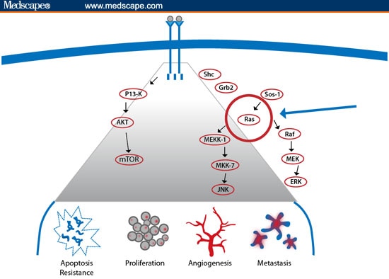 K-Ras Biomarker: Defining Its Role in the Management of Colorectal Cancer