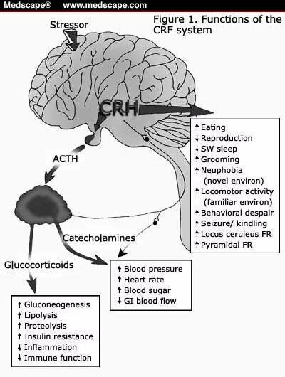 Update on the Neurobiology of Depression