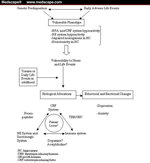 Update on the Neurobiology of Depression