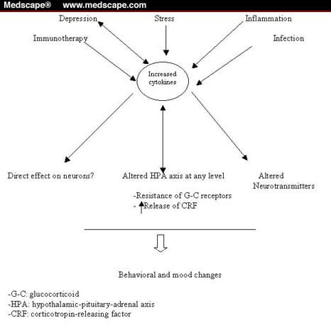 Update on the Neurobiology of Depression