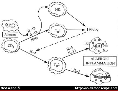 Future Treatments in Allergic Disease