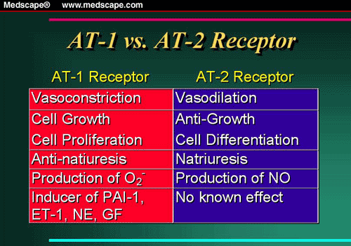 Angiotensin II Receptor Blockade: Toward a Longer, Better Life