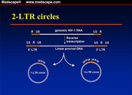 HIV Pathogenesis and Viral Markers