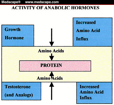 Involuntary Weight Loss and Protein-Energy Malnutrition: Diagnosis and...