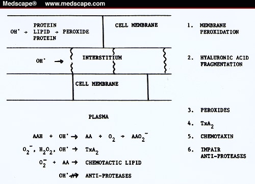 Effect of a Catabolic State With Involuntary Weight Loss on Acute and ...