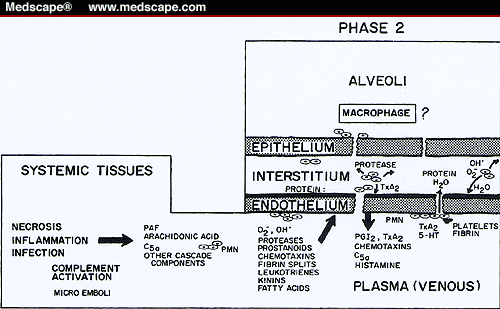 Effect of a Catabolic State With Involuntary Weight Loss on Acute and ...