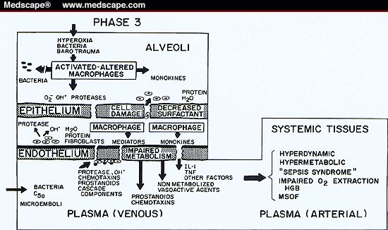 Effect of a Catabolic State With Involuntary Weight Loss on Acute and ...