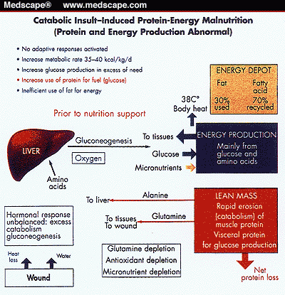 Effect of a Catabolic State With Involuntary Weight Loss on Acute and ...