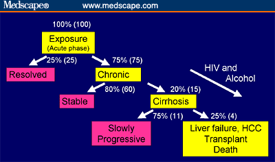 Pegylated Interferons and Advances in Therapy for Chronic Hepatitis C
