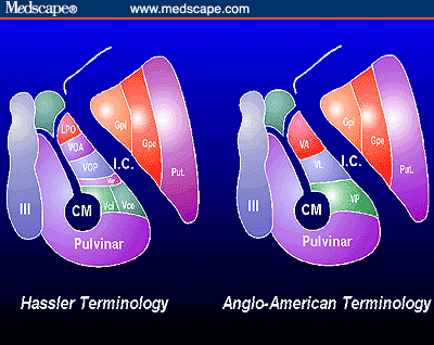 Deep Brain Stimulation for Parkinson's Disease: An Update