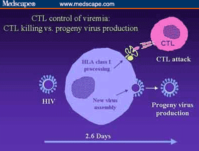 Immunopathogenesis and Immune Response in HIV Infection