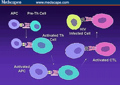 Immune Reconstitution and Immunotherapy in HIV Infection