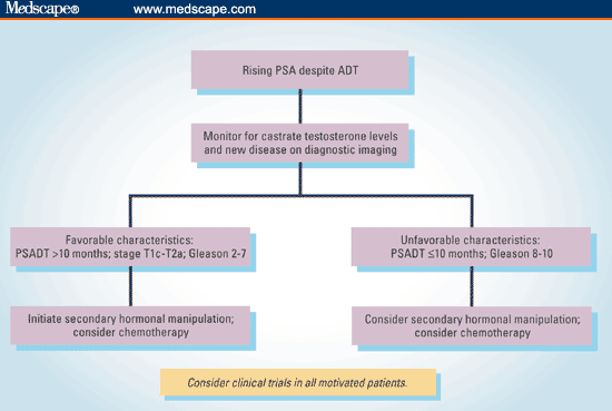 Therapeutic Strategies for Patients With a Rising PSA: A Case-Based ...
