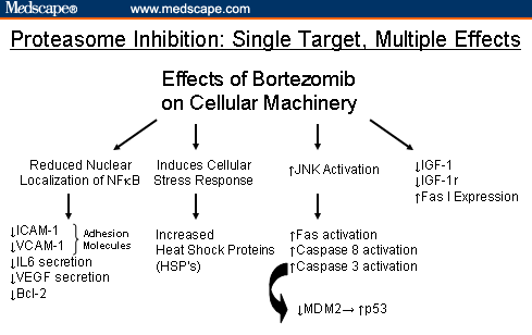 Proteasome Inhibition and Myeloma: The Impact of Novel Agents on ...