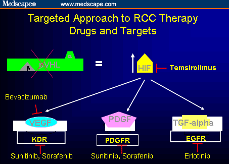 Advances in the Treatment of Renal Cell Carcinoma: Targeting Multiple ...