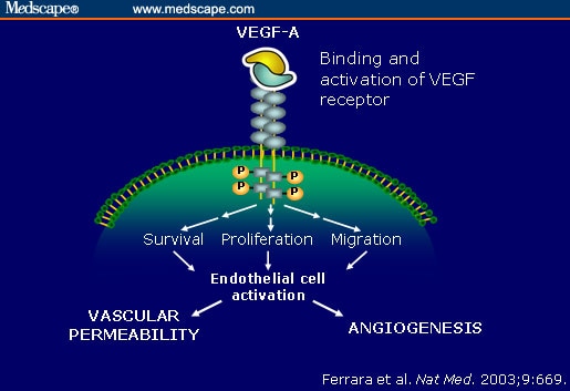 Targeting Vascular Endothelial Growth Factor in Retinal Disease