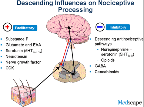 Fibromyalgia: Defining the Disorder, Diagnosis and Treatment