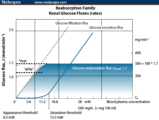 Sodium-Glucose Transporter 2 Inhibitors