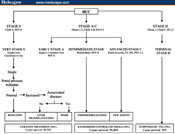 Hepatocellular Carcinoma: Promising New Treatment Approaches