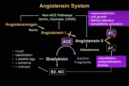 CHARM Story: Lessons Learned About Role of Angiotensin Receptor Blockers