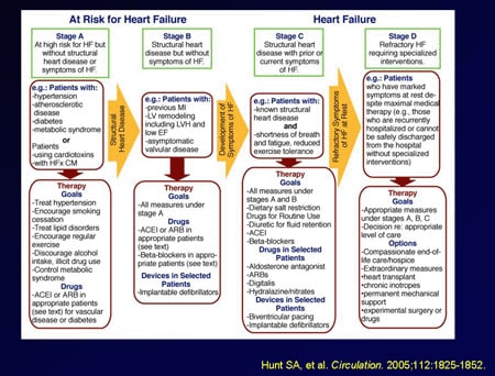 CHARM Story: Lessons Learned About Role of Angiotensin Receptor Blockers