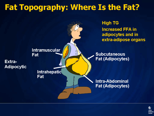 Type 2 Diabetes: The Pathophysiologic Basis of Treatment Design